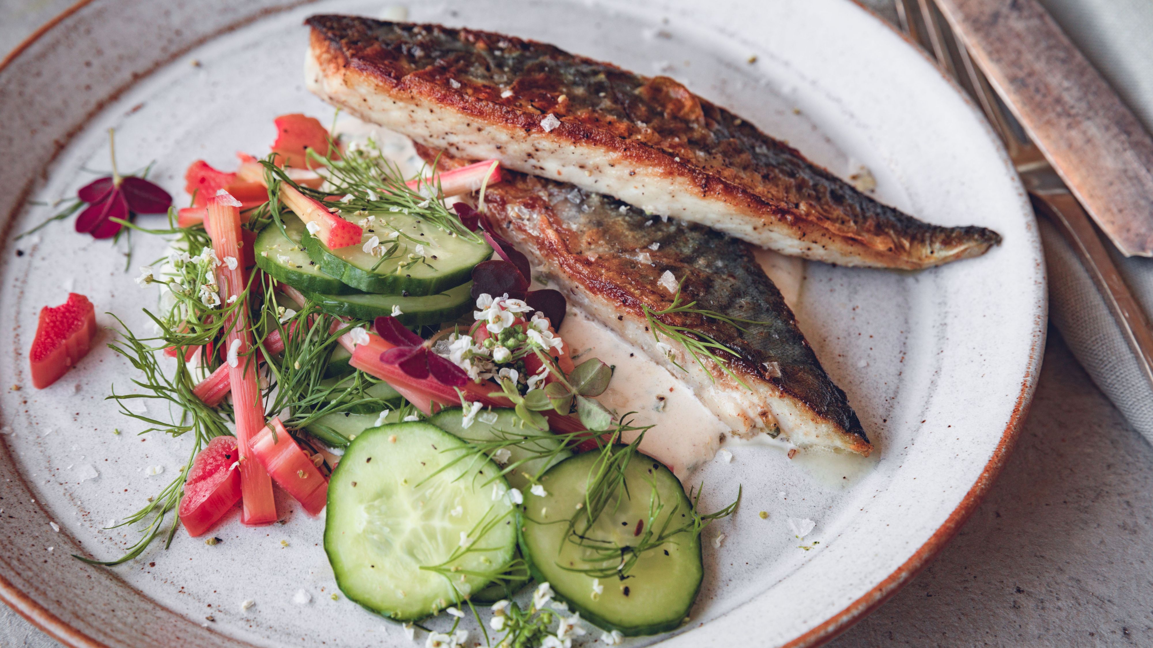 Våre beste oppskrifter med makrell | Godt.no